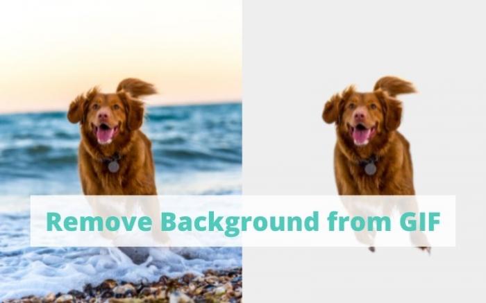 How to Remove Background from GIF with AI? - VanceAI