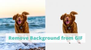 How to Remove Background from GIF with AI? - VanceAI