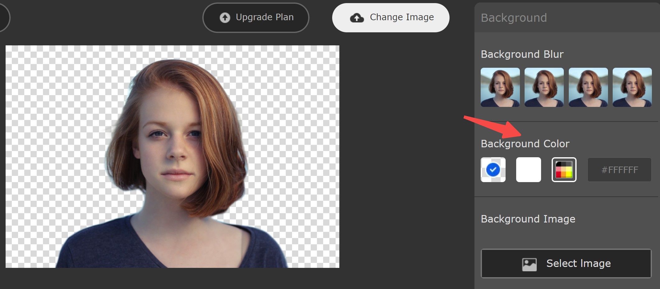 How To Remove Background Color From Image With 3 Best Ways BGremover