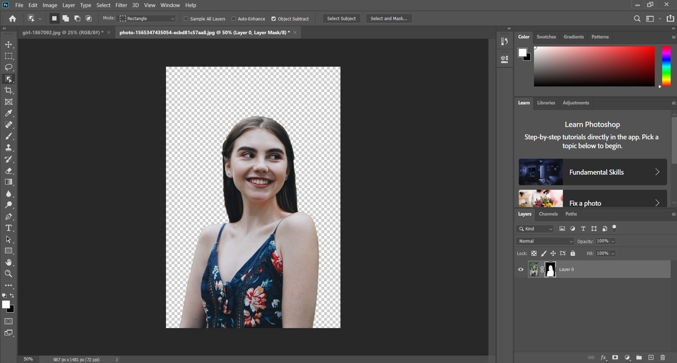 How To Isolate An Image In Photoshop And Its Best Alternative BGremover
