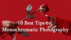 10 Best Tips on Monochromatic Photography - VanceAI