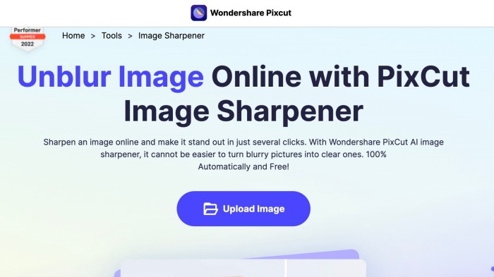 VanceAI Image Sharpener | AI Unblur Image to Get Tack Sharp Photos