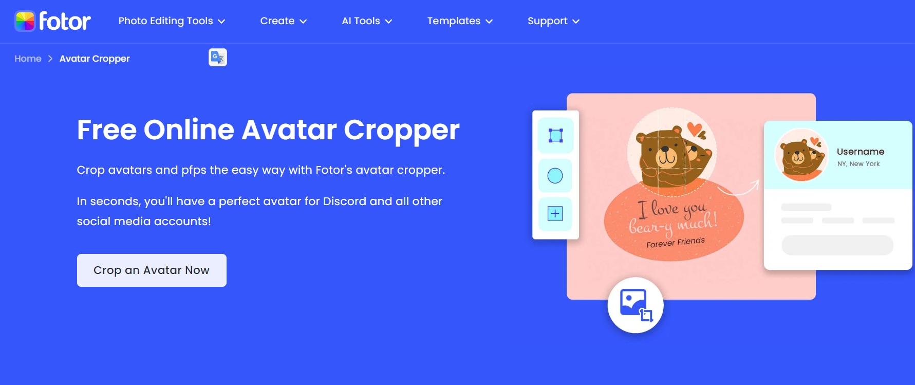 Top 6 Best Avatar Croppers Review(2025)