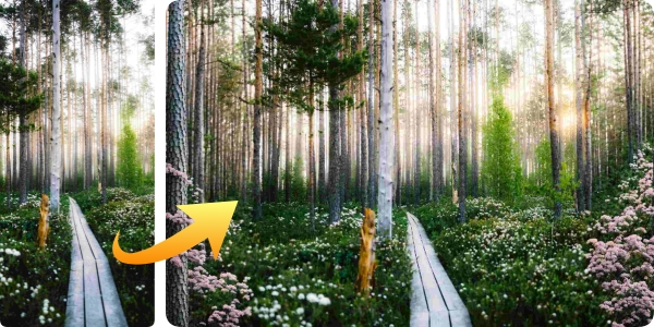 How to Extend Photo Background: A Step-by-Step Guide